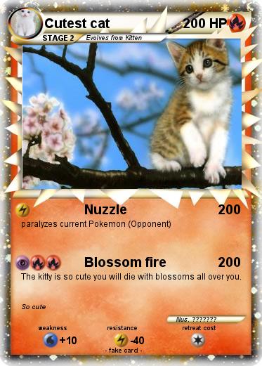 Pokémon Cutest cat 12 12 - Nuzzle - My Pokemon Card