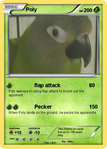 Pokémon Poly 16 16 - flap attack - My Pokemon Card