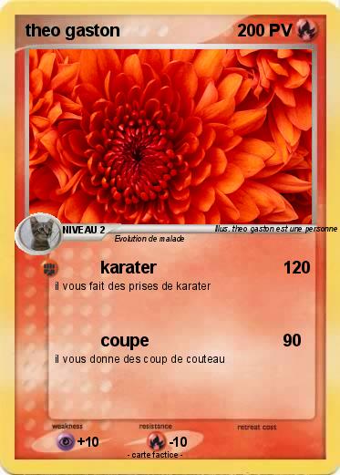 Pokémon theo gaston - karater - Ma carte Pokémon