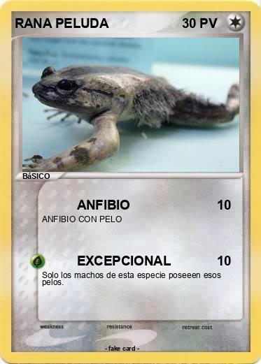 Pokémon RANA PELUDA - ANFIBIO - Mi carta pokémon