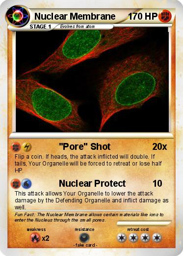 Pokémon Nuclear Membrane 6 6 - "Pore" Shot - My Pokemon Card