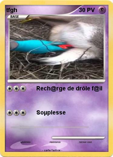 Pokémon tfgh - Rech@rge de drôle f@il - Ma carte Pokémon