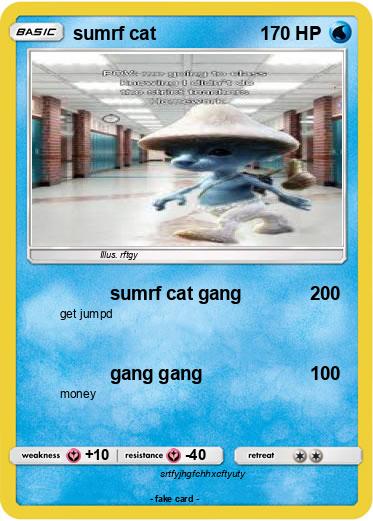 Pokémon sumrf cat - sumrf cat gang - My Pokemon Card