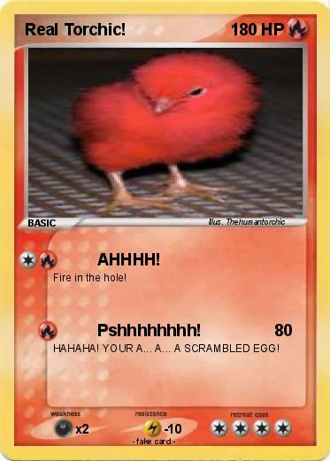 Pokémon Real Torchic - AHHHH! - My Pokemon Card