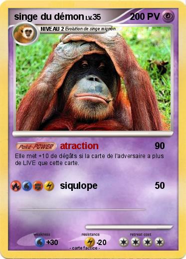 Pokémon singe du demon - atraction - Ma carte Pokémon