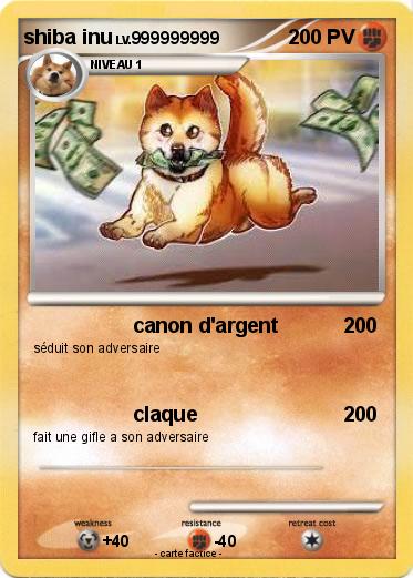 Pokémon shiba inu 117 117 - canon d'argent - Ma carte Pokémon