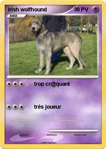 Pokémon irish wolfhound 72 72 - trop cr@quant - Ma carte Pokémon