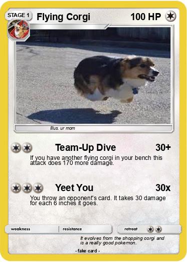 Pokémon Flying Corgi - Team-Up Dive - My Pokemon Card