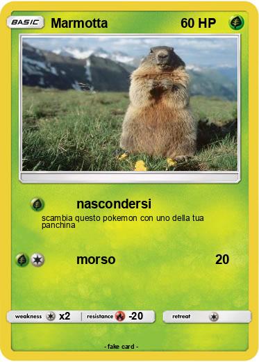 Pokémon Marmotta 2 2 - nascondersi - My Pokemon Card