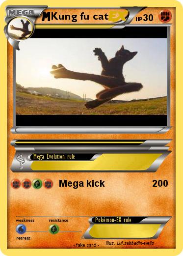 Pokémon Kung fu cat 40 40 - Mega kick - My Pokemon Card