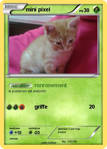 Pokémon mini pixel - ronronement - Ma carte Pokémon