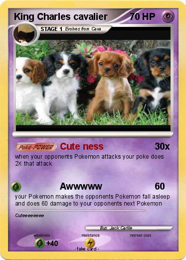 Pokémon King Charles cavalier - Cute ness - My Pokemon Card