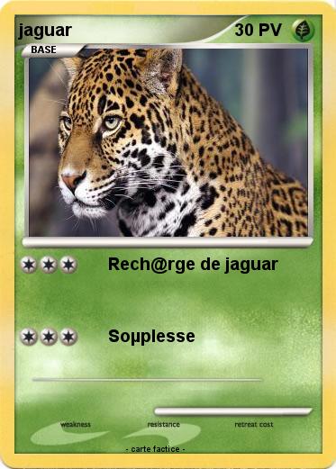 Pokémon jaguar 137 137 - Rech@rge de jaguar - Ma carte Pokémon