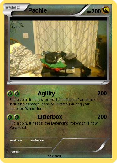 Pokémon Pachie - Agility - My Pokemon Card