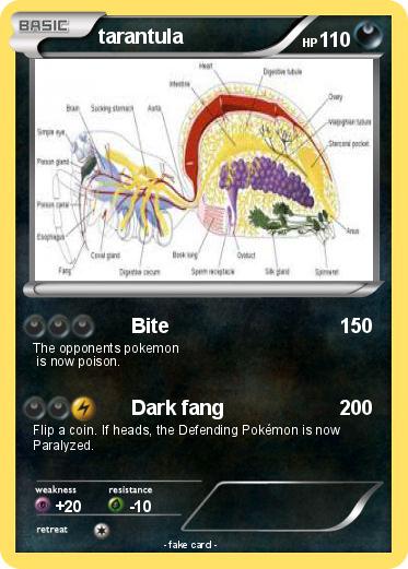 Pokémon tarantula 39 39 - Bite - My Pokemon Card