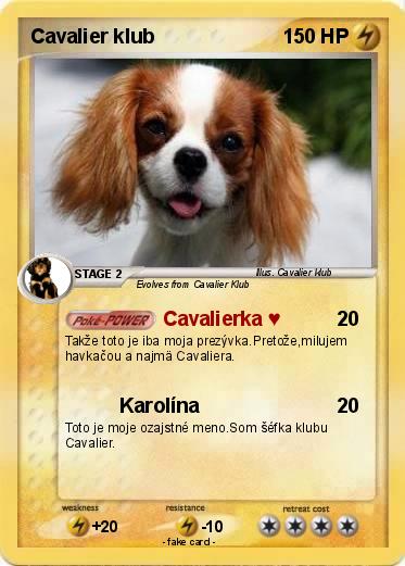 Pokémon Cavalier klub - Cavalierka ♥ - My Pokemon Card