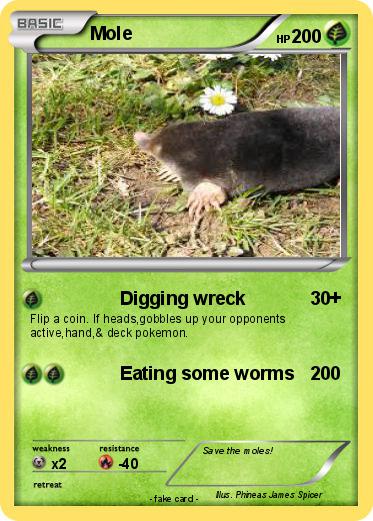 Pokémon Mole 29 29 - Digging wreck - My Pokemon Card