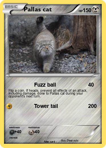 Pokémon Pallas cat 2 2 - Fuzz ball - My Pokemon Card