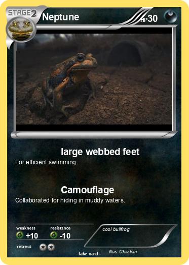 Pokémon Neptune 228 228 - large webbed feet - My Pokemon Card