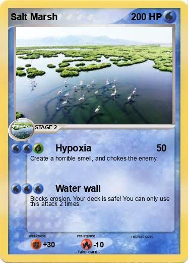 Pokémon Salt Marsh - Hypoxia - My Pokemon Card