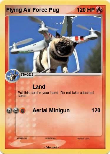 Pokémon Flying Air Force Pug - Land - My Pokemon Card