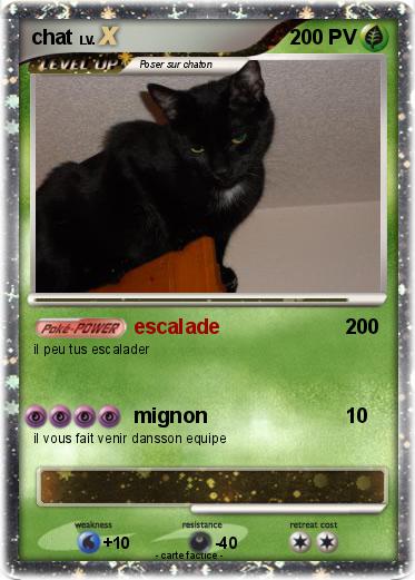 Pokémon chat 3248 3248 - escalade - Ma carte Pokémon