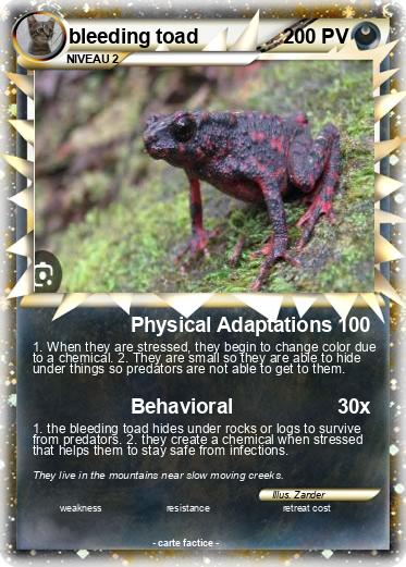 Pokémon bleeding toad 7 7 - Physical Adaptations - Ma carte Pokémon