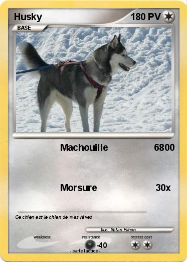 Pokémon Husky 66 66 - Machouille 6800 - Ma carte Pokémon