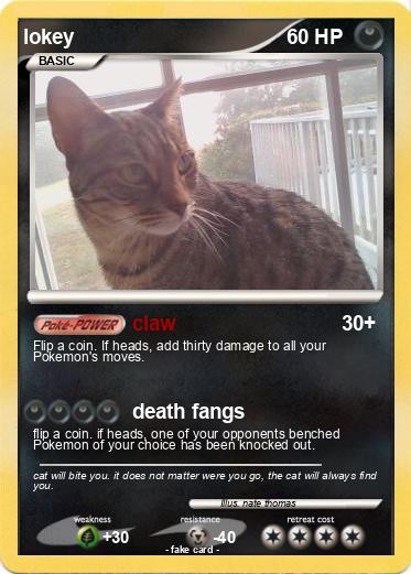 Pokémon lokey 3 3 - claw - My Pokemon Card