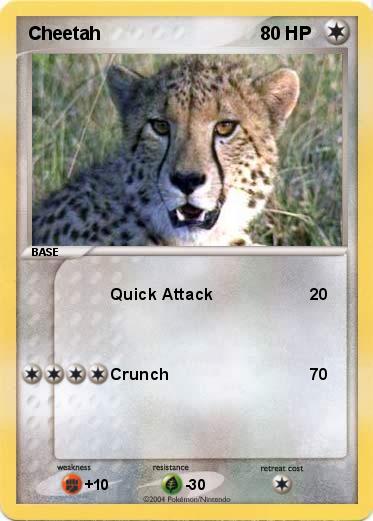 Pokémon Cheetah - Quick Attack - My Pokemon Card