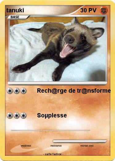 Pokémon tanuki 20 20 - Rech@rge de tr@nsforme - Ma carte Pokémon