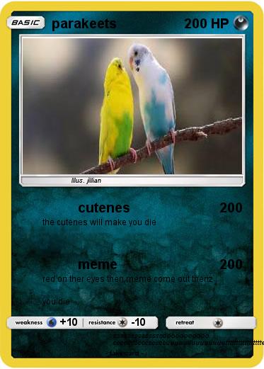 Pokémon parakeets 1 1 - cutenes - My Pokemon Card