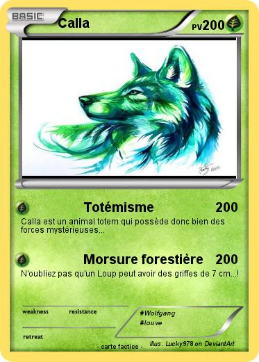 Pokémon Calla 4 4 - Totémisme - Ma carte Pokémon