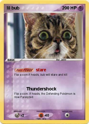 Pokémon lil bub 20 20 - stare - My Pokemon Card