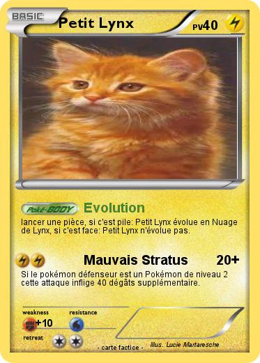 Pokémon Petit Lynx - Evolution - Ma carte Pokémon