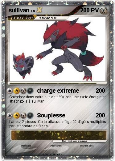 Pokémon sullivan 19 19 - charge extreme - Ma carte Pokémon