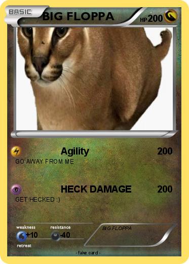 Pokémon BIG FLOPPA 24 24 - Agility - My Pokemon Card