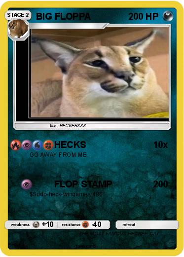 Pokémon BIG FLOPPA 25 25 - HECKS - My Pokemon Card