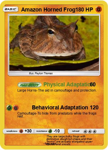 Pokémon Amazon Horned Frog 98 98 - Physical Adaptation - My Pokemon Card