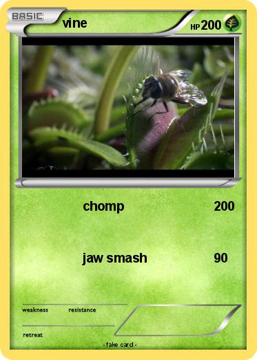 Pokémon vine 42 42 - chomp - My Pokemon Card