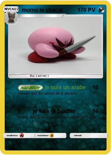 Pokémon momo le chacal - je suis un arabe - Ma carte Pokémon
