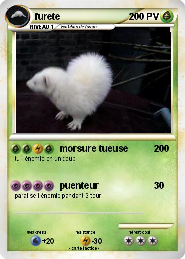 Pokémon furete - morsure tueuse - Ma carte Pokémon