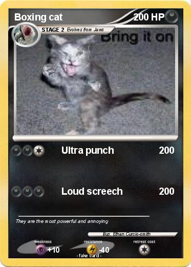 Pokémon Boxing cat 2 2 - Ultra punch - My Pokemon Card