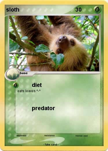 Pokémon sloth 175 175 - diet - My Pokemon Card