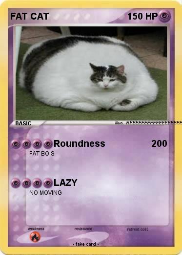 Pokémon FAT CAT 368 368 - Roundness - My Pokemon Card