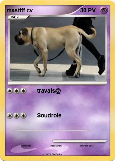 Pokémon mastiff cv - travais@ - Ma carte Pokémon