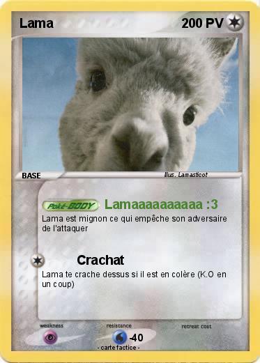 Pokémon Lama 66 66 - Lamaaaaaaaaaa :3 - Ma carte Pokémon