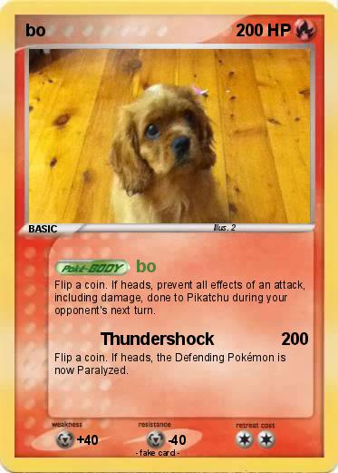 Pokémon 1 62514 62514 - bo - My Pokemon Card