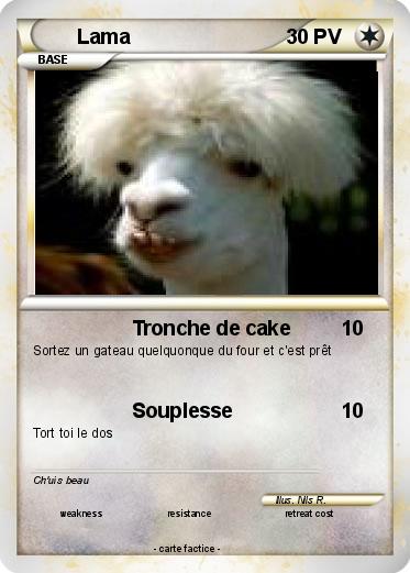 Pokémon Lama 55 55 - Tronche de cake - Ma carte Pokémon