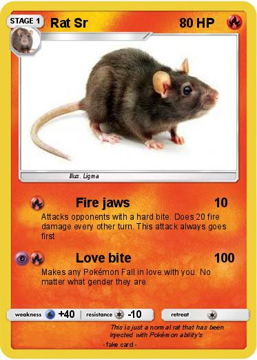 Pokémon Rat Sr - Fire jaws - My Pokemon Card